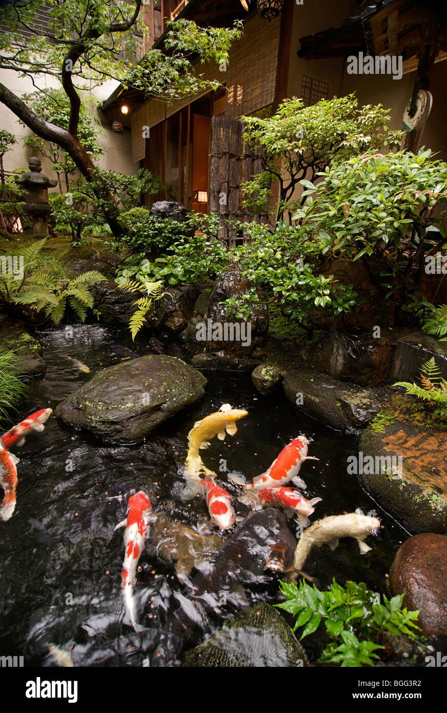 Yoshikawa ryokan. Traditional Japanese style guest house. Kyoto, Japan ...