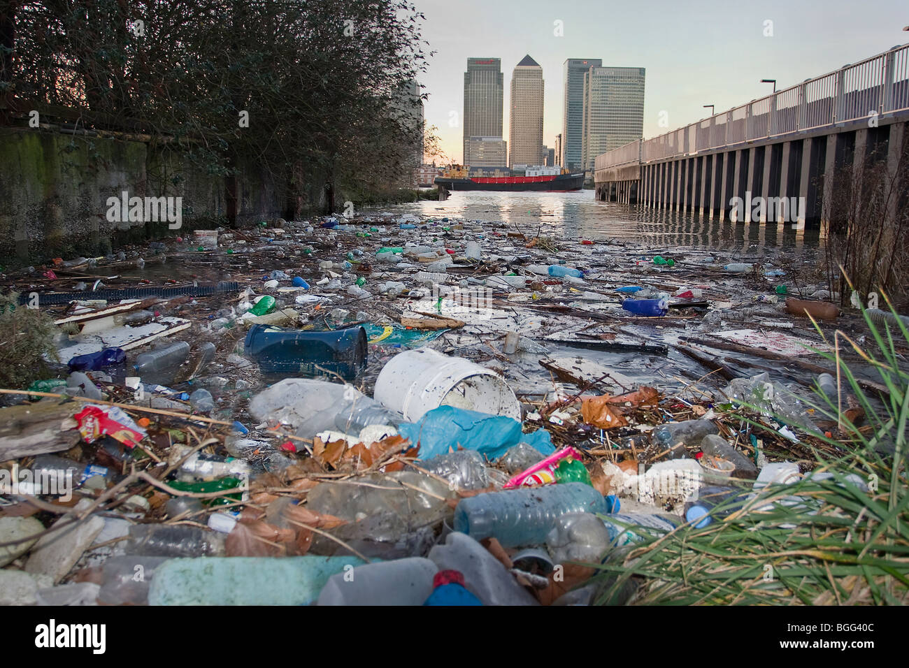 Thames River Pollution