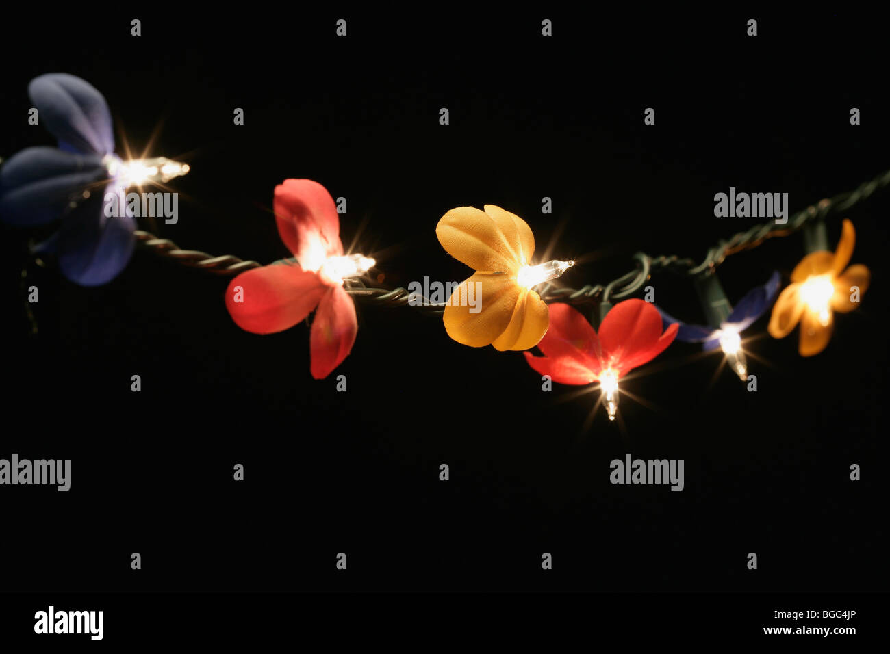 String of flower lights Stock Photo - Alamy