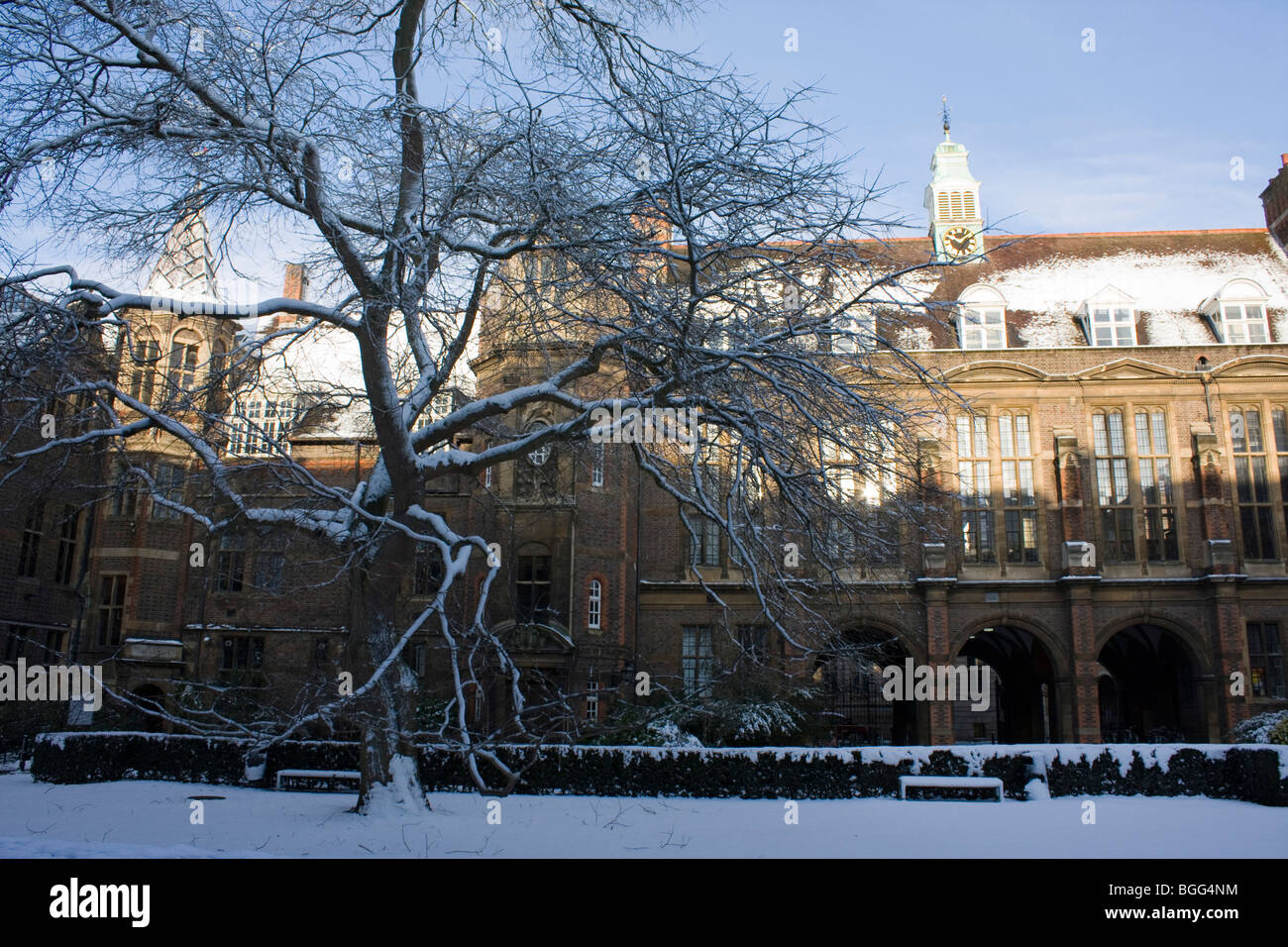 snow on ground Stock Photo - Alamy