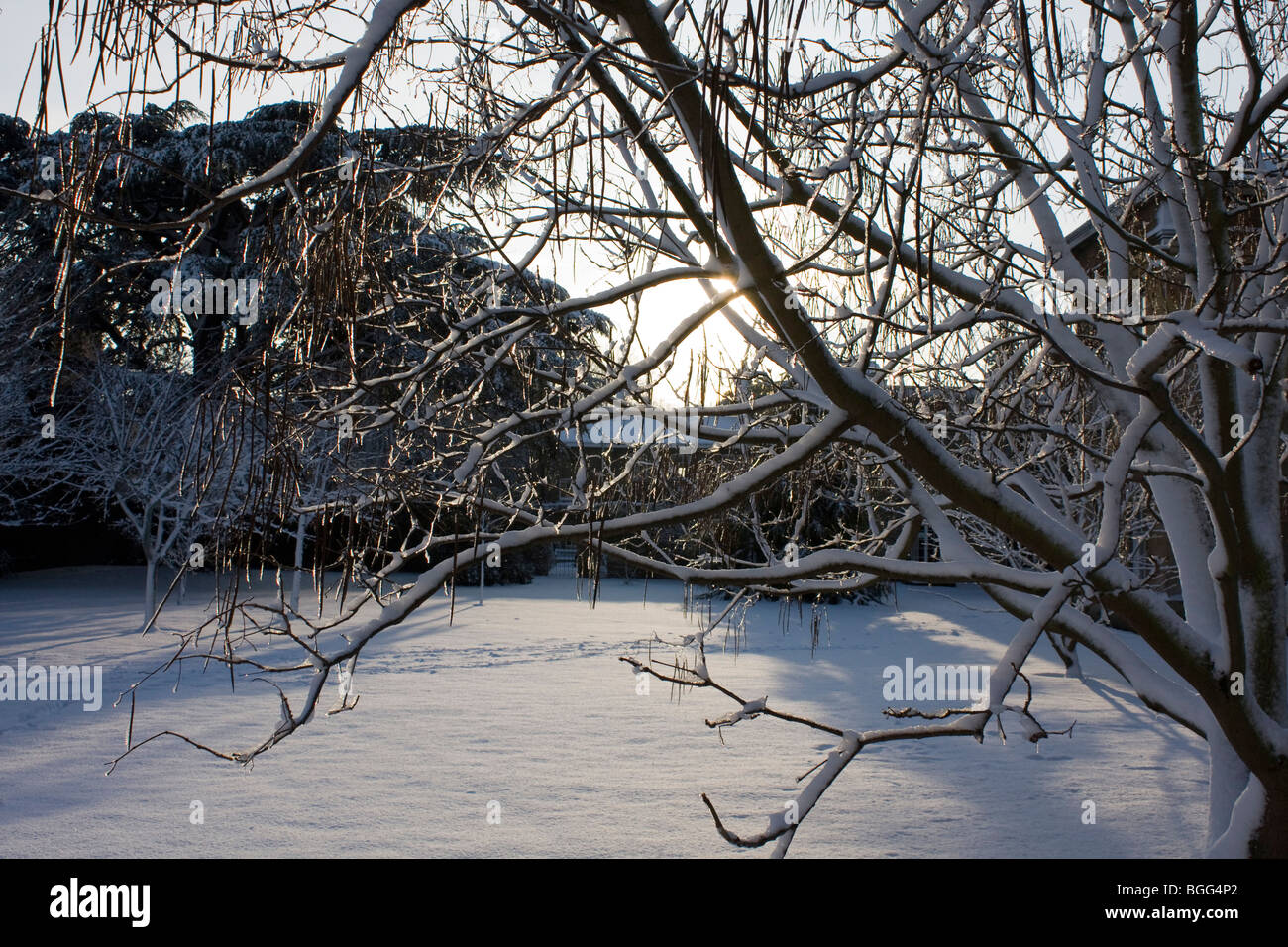 snow on ground Stock Photo - Alamy