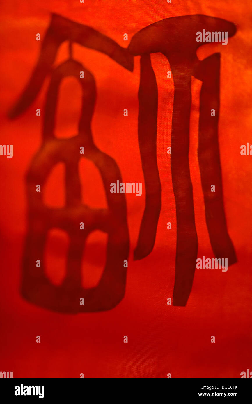 Character "blessing" on Chinese traditional hand-made lantern Stock ...