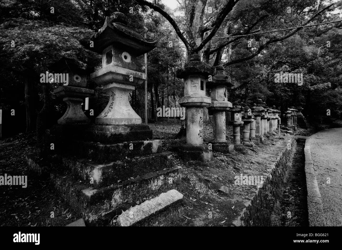 Japanese stone lanterns, leading to the Main Shrine. Kasuga-taisha ...