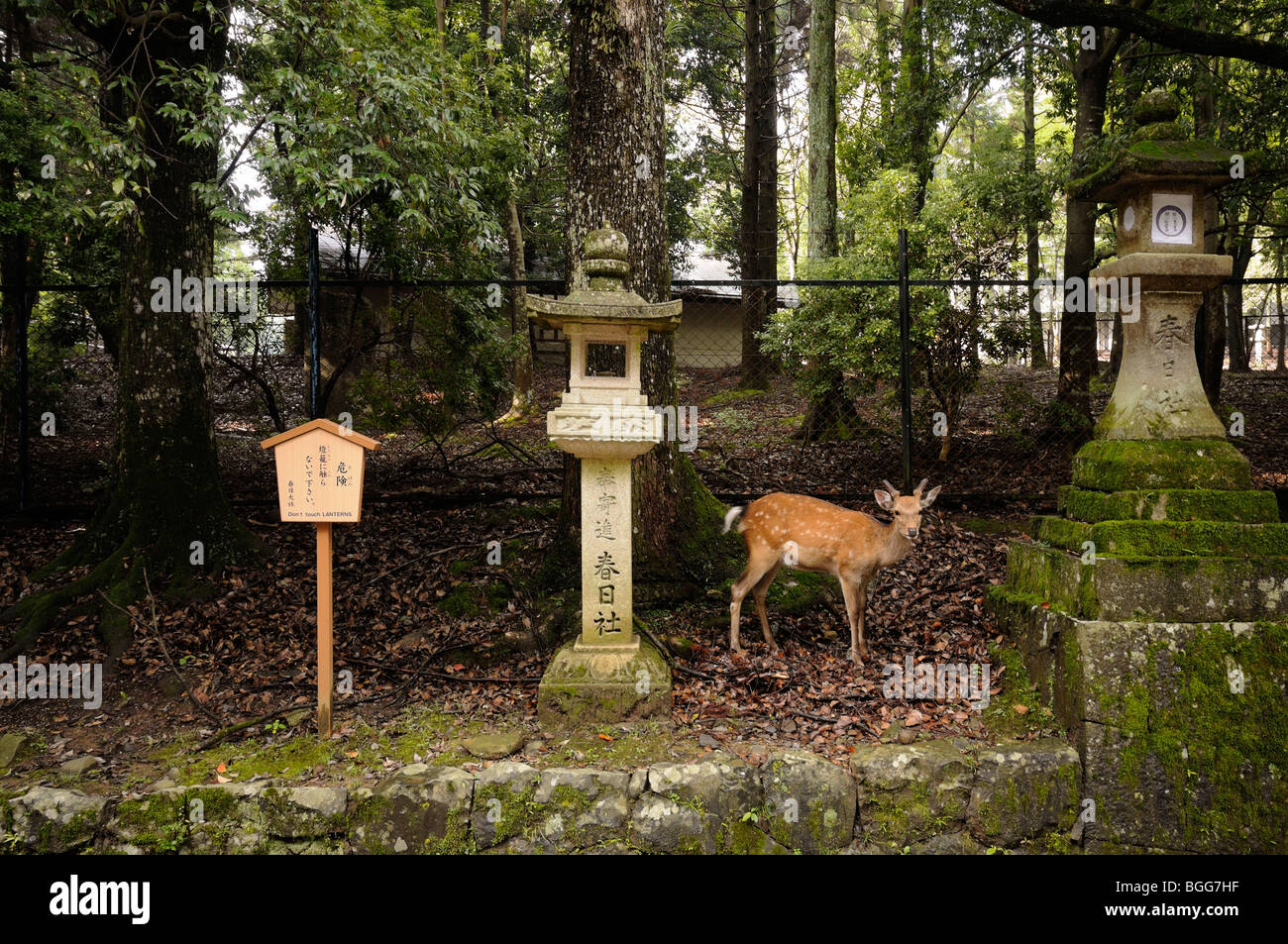 Nara park shrines hi-res stock photography and images - Alamy