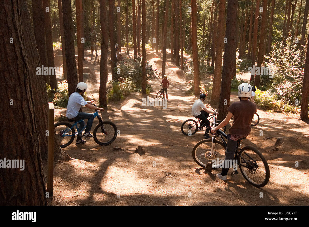 Extreme woodland cycle track Stock Photo - Alamy