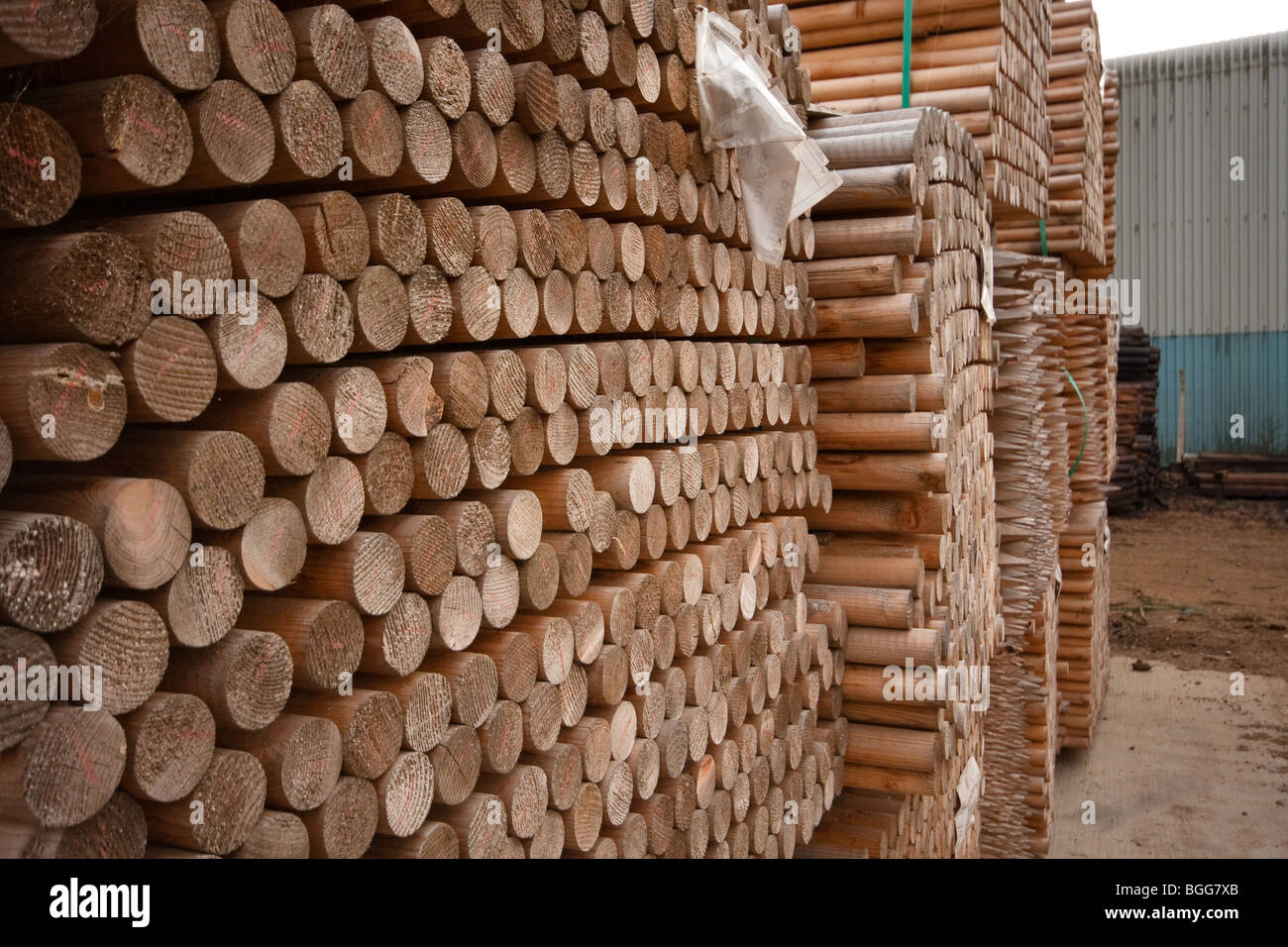Modern treated wooden fencing in stacks at timber Merchants, England ...