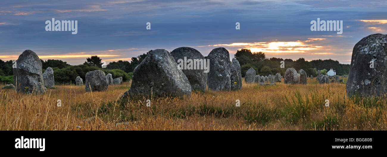 Neolithic menhirs / standing stones at sunset, Carnac, Morbihan ...
