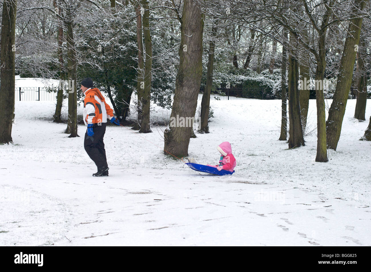 sledging in the snow in Stanley Park,Blackpool,UK Stock Photo - Alamy