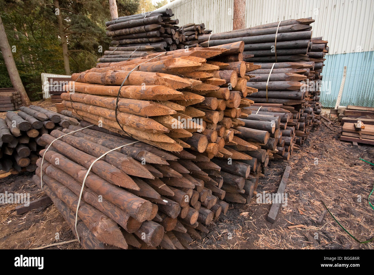 Modern treated wooden fencing in stacks at timber Merchants, England ...