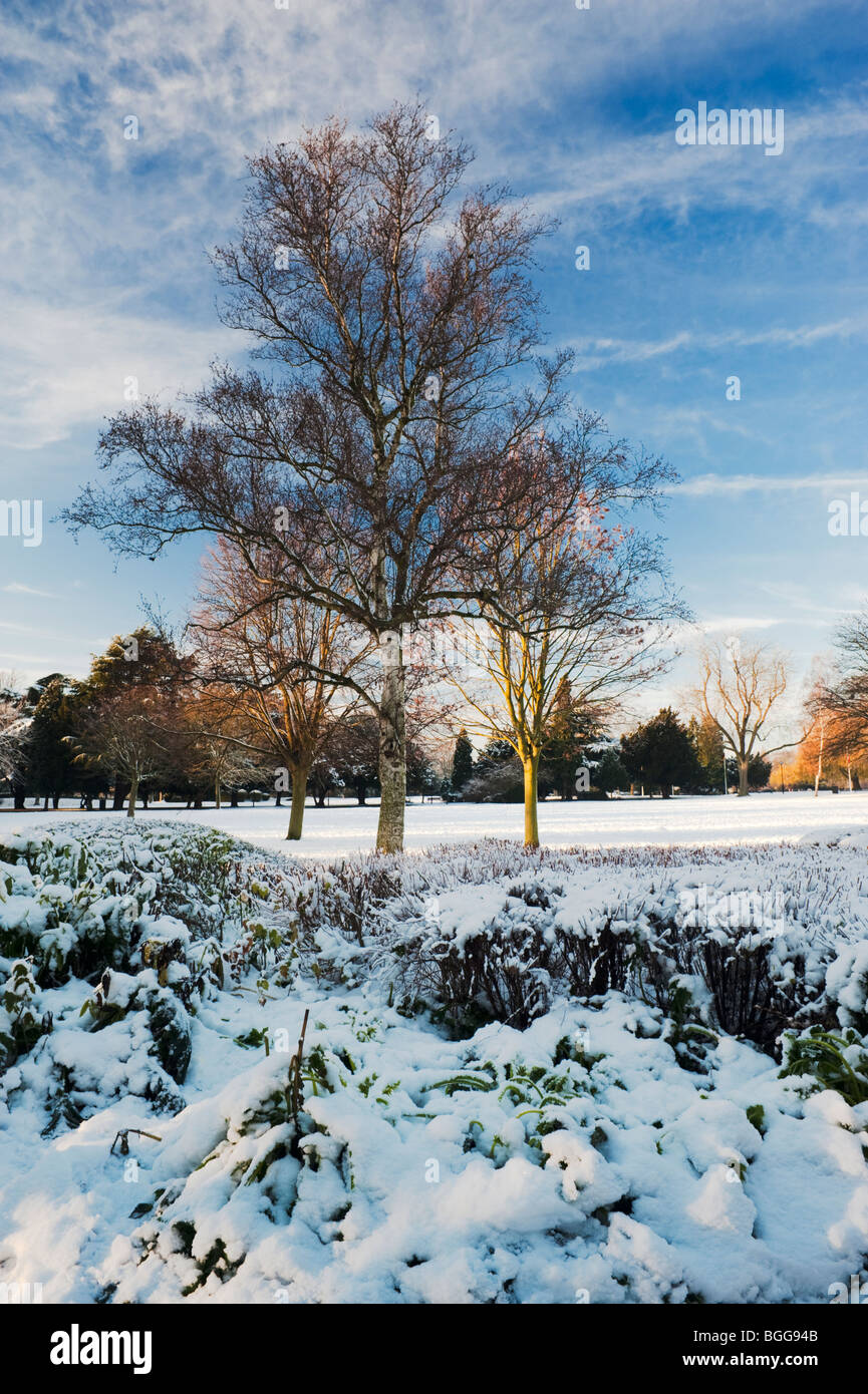 Central Park, Peterborough, Cambridgeshire, in the snow Stock Photo - Alamy