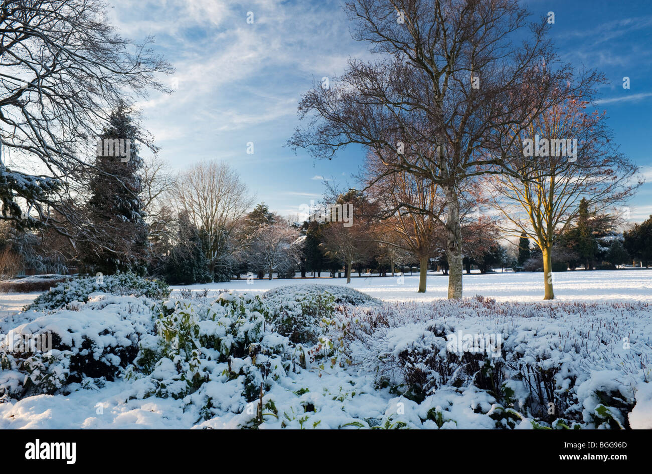 Central Park, Peterborough, Cambridgeshire, in the snow Stock Photo - Alamy
