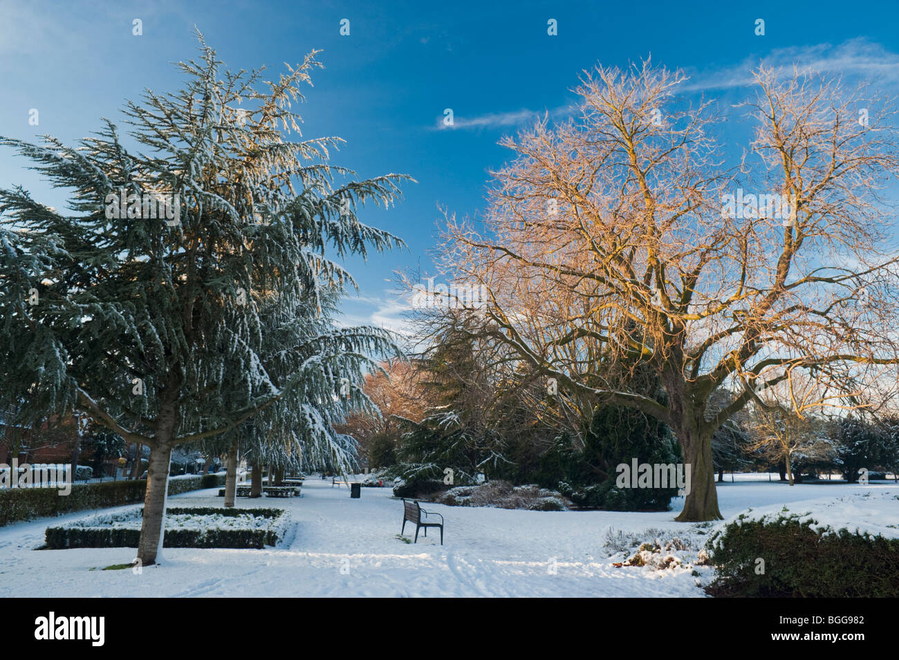 Central Park, Peterborough, Cambridgeshire, in the snow Stock Photo - Alamy