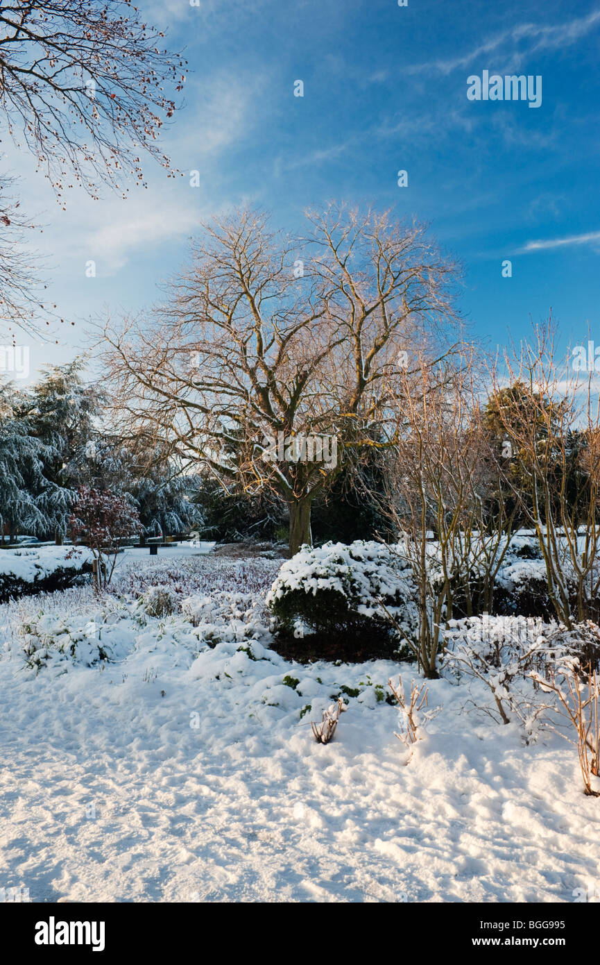 Central Park, Peterborough, Cambridgeshire, in the snow Stock Photo - Alamy