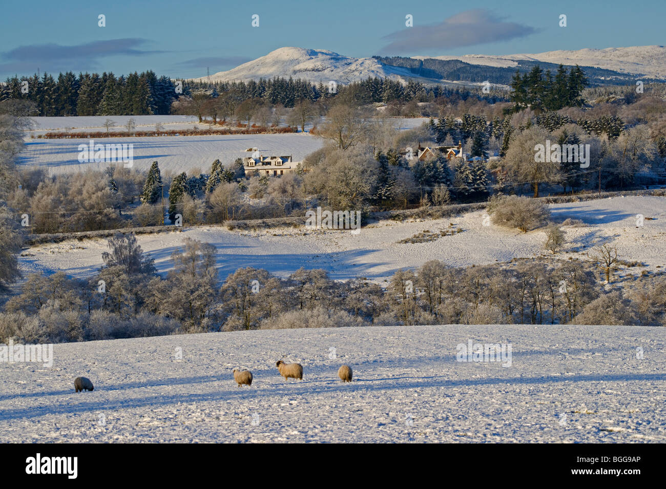 Buchlyvie hi-res stock photography and images - Alamy