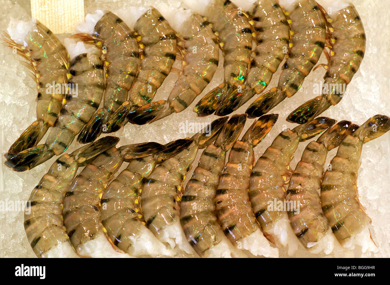 Giant prawns hi-res stock photography and images - Alamy