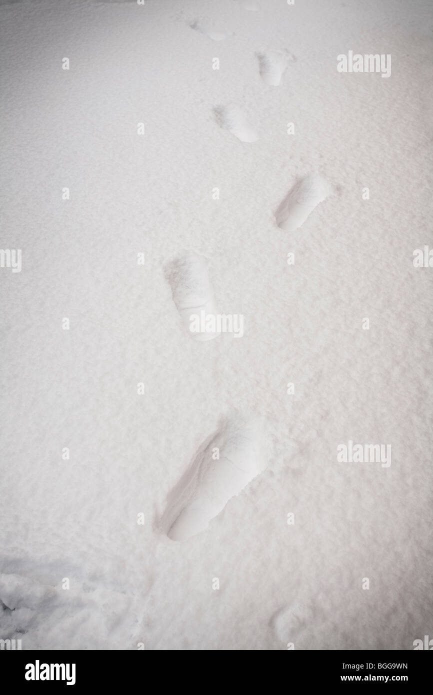 Very deep snow hi-res stock photography and images - Alamy