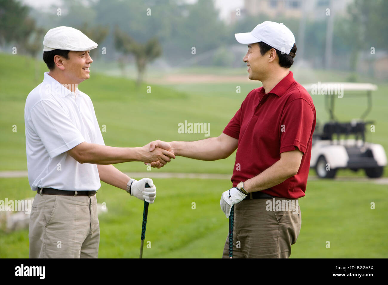 Two golfers shaking hands on the course Stock Photo - Alamy
