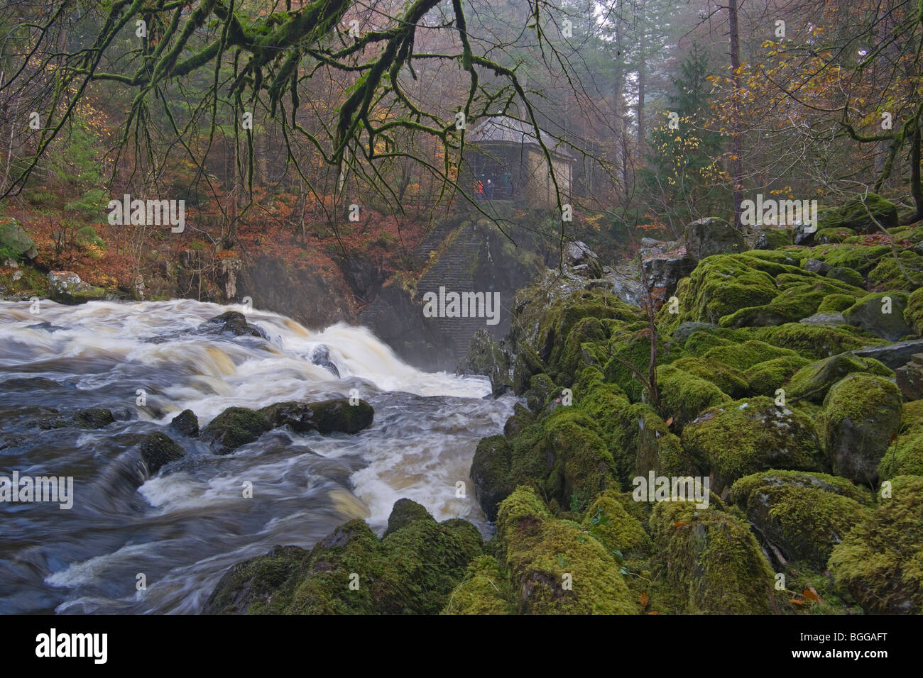 Autumn leaves, river Braan, Ossian's Hall, The Hermitage, Dunkeld ...