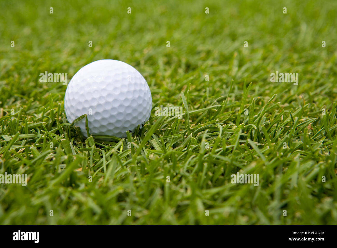 Close-up of golf ball in grass Stock Photo - Alamy