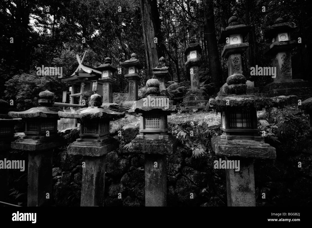 Japanese stone lanterns leading to the Main Shrine. Kasuga-taisha ...