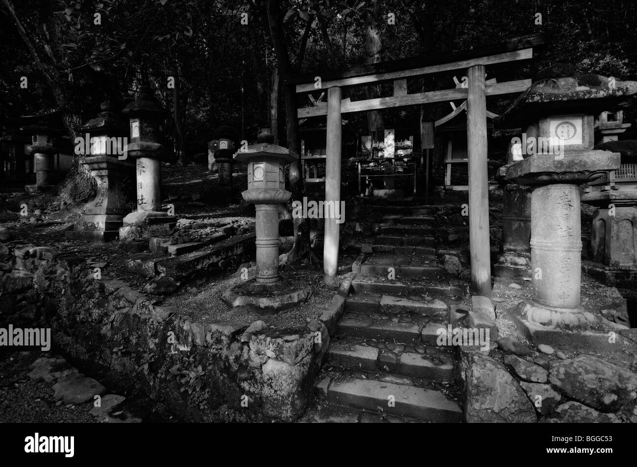 Japanese stone lanterns leading to the Main Shrine. Kasuga-taisha ...