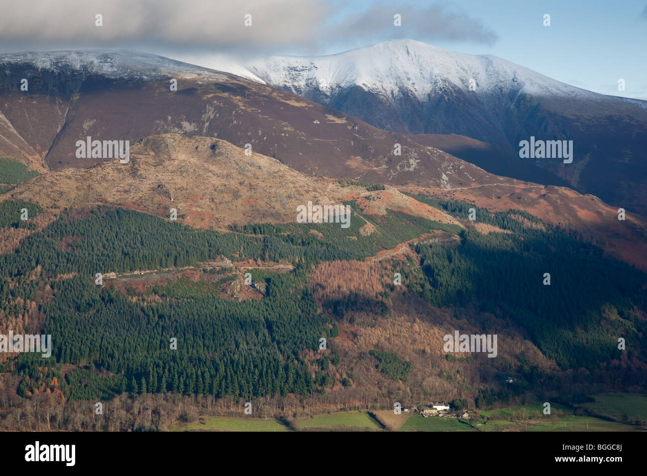 Dodd wood cumbria hi-res stock photography and images - Alamy