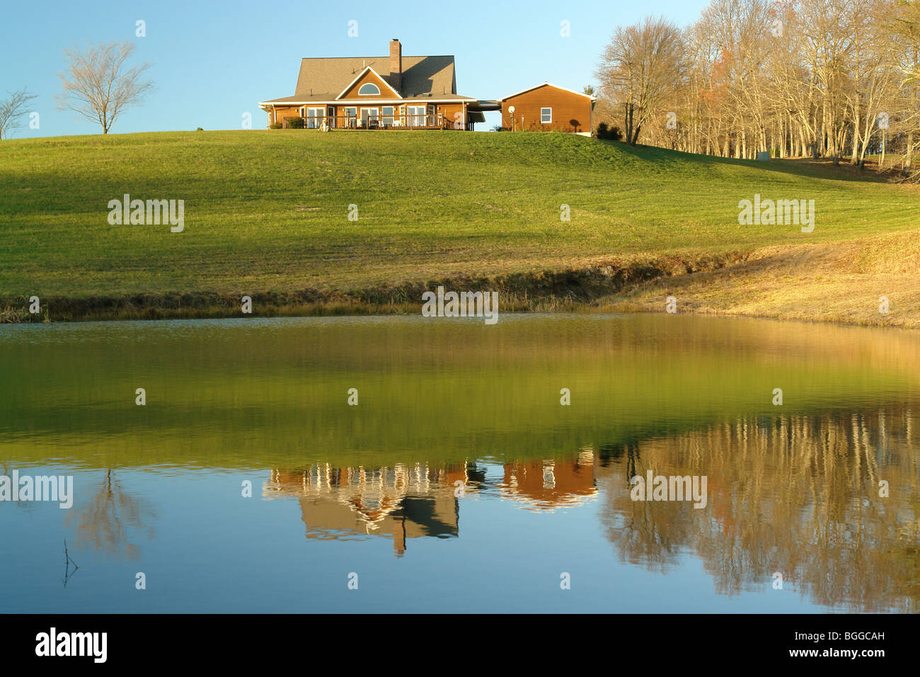 Galax va hi-res stock photography and images - Alamy