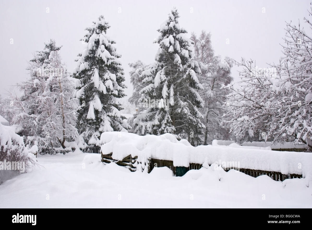 Deep snow with snow still falling in Nethybridge, Scotland Stock Photo ...