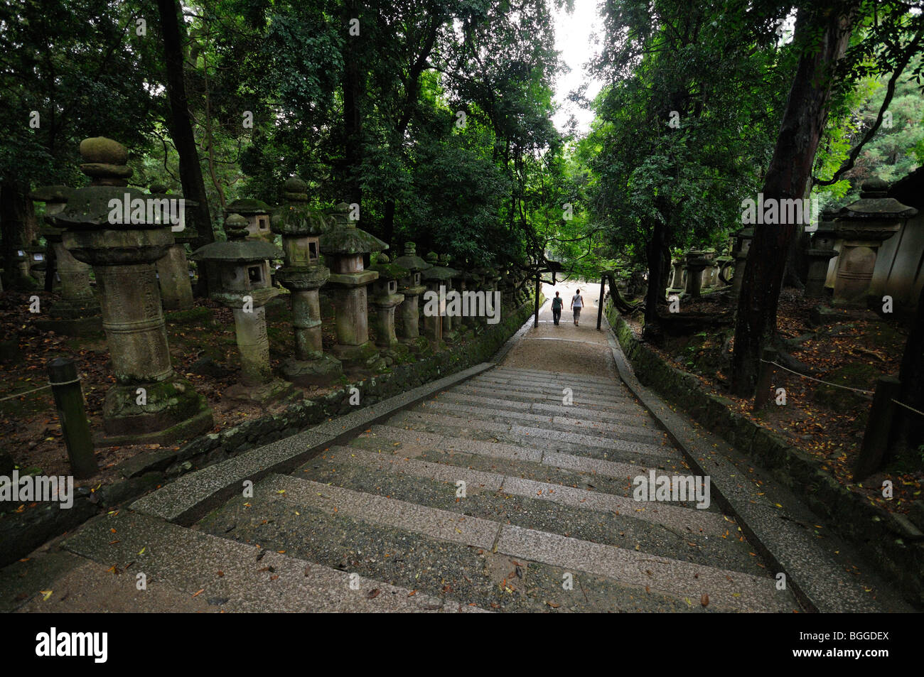 Kasuga-taisha Shrine complex (aka Kasuga Shrine). Nara City. Nara ...