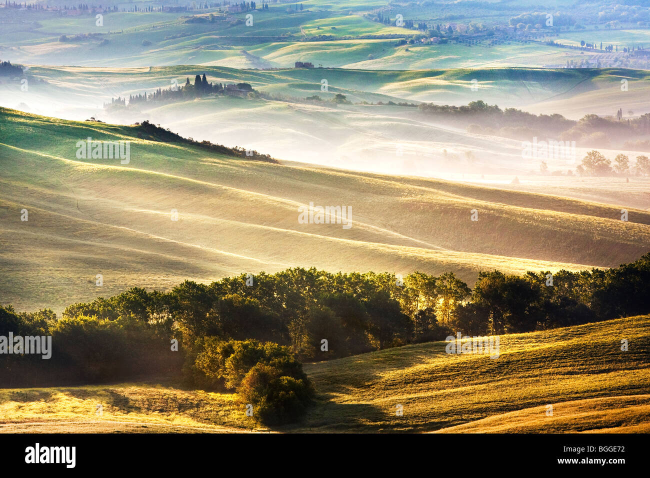 Misty spring dawn over the Val d'Orcia, Tuscany Stock Photo - Alamy