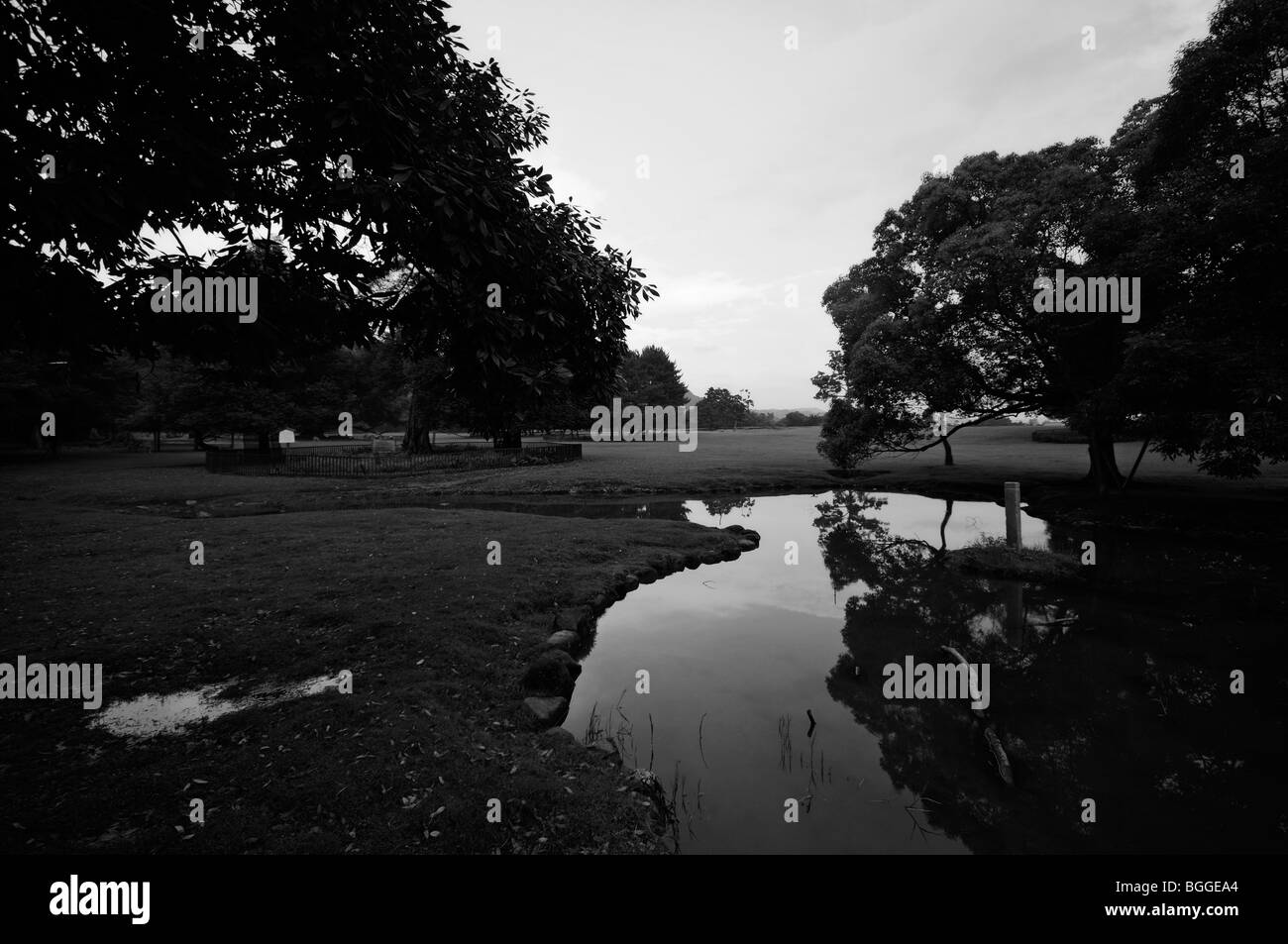 Deer Park. Kasuga-taisha Shrine complex (aka Kasuga Shrine). Nara City ...