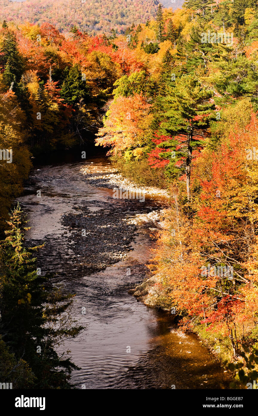 Fall Colours At Cape Breton Highlands National Park High Resolution ...