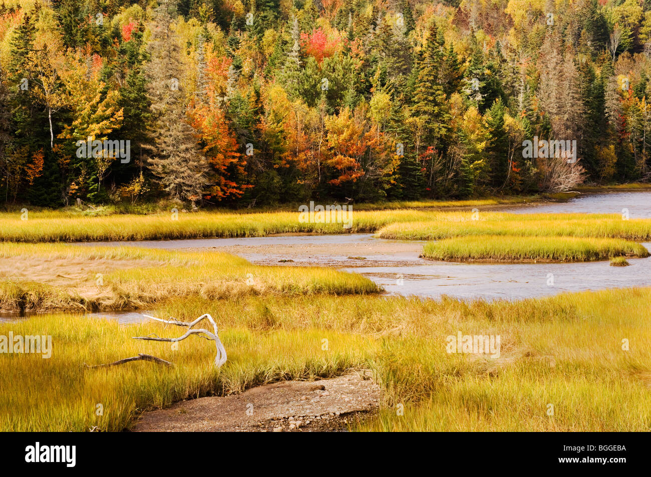 Fall Colours At Cape Breton Highlands National Park High Resolution ...