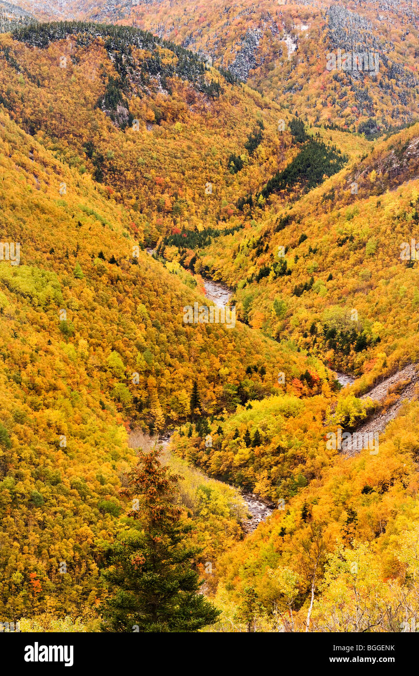 Mackenzie River Canada High Resolution Stock Photography and Images - Alamy