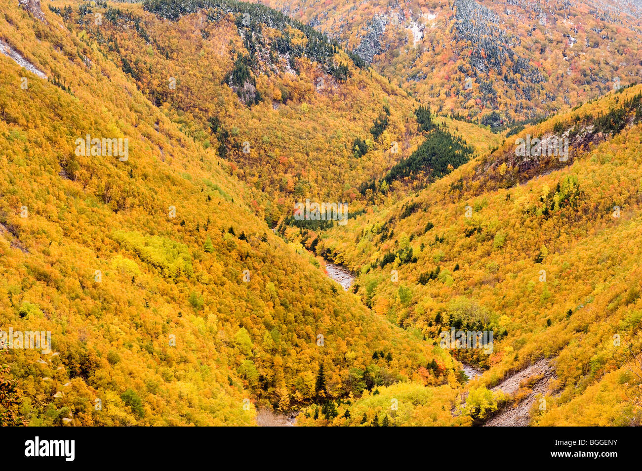 Mackenzie River Canada High Resolution Stock Photography and Images - Alamy