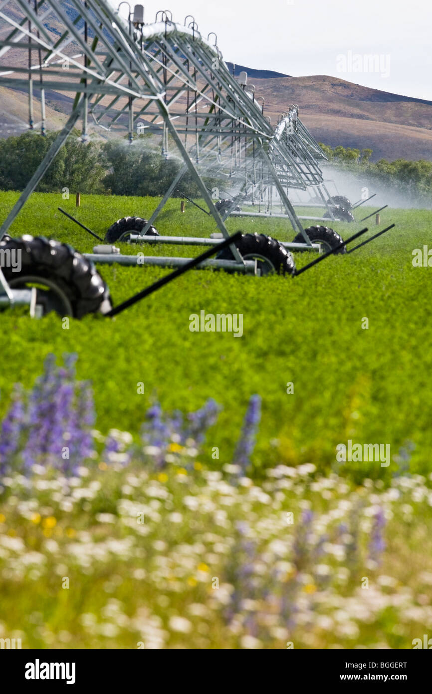Crop spraying hi-res stock photography and images - Alamy