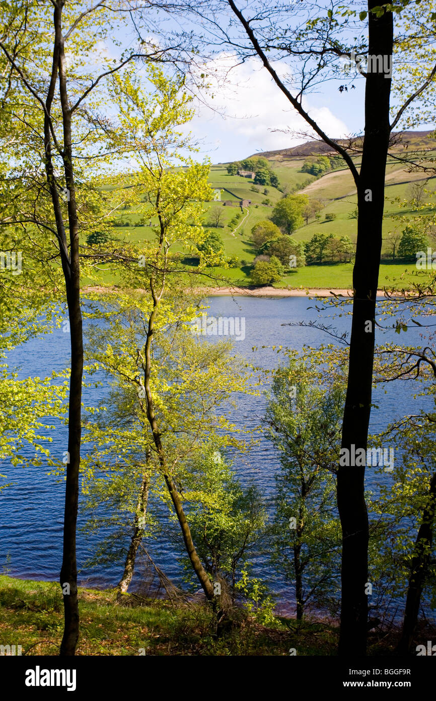Derwent reservoir view hi-res stock photography and images - Alamy