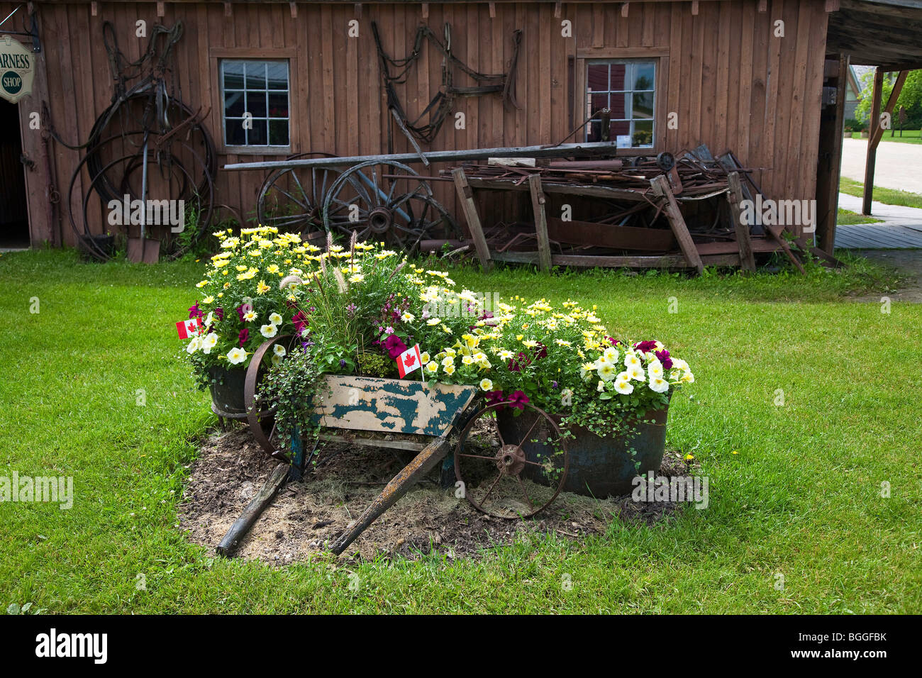 Flower Garden in front of old tool Barn with Canada Flags and flowers ...