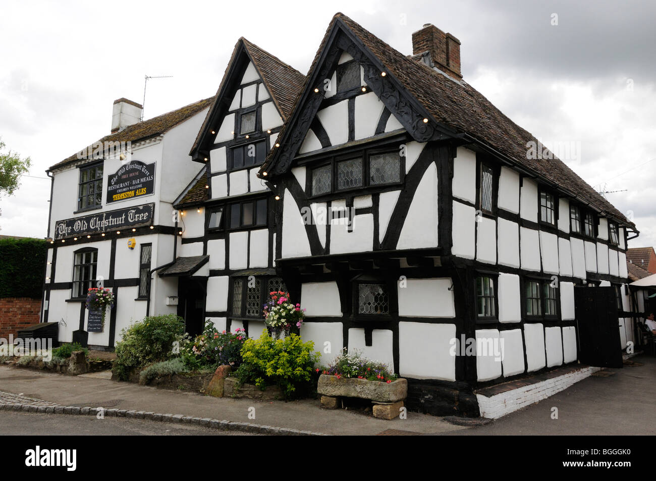 Old chestnut tree hi-res stock photography and images - Alamy