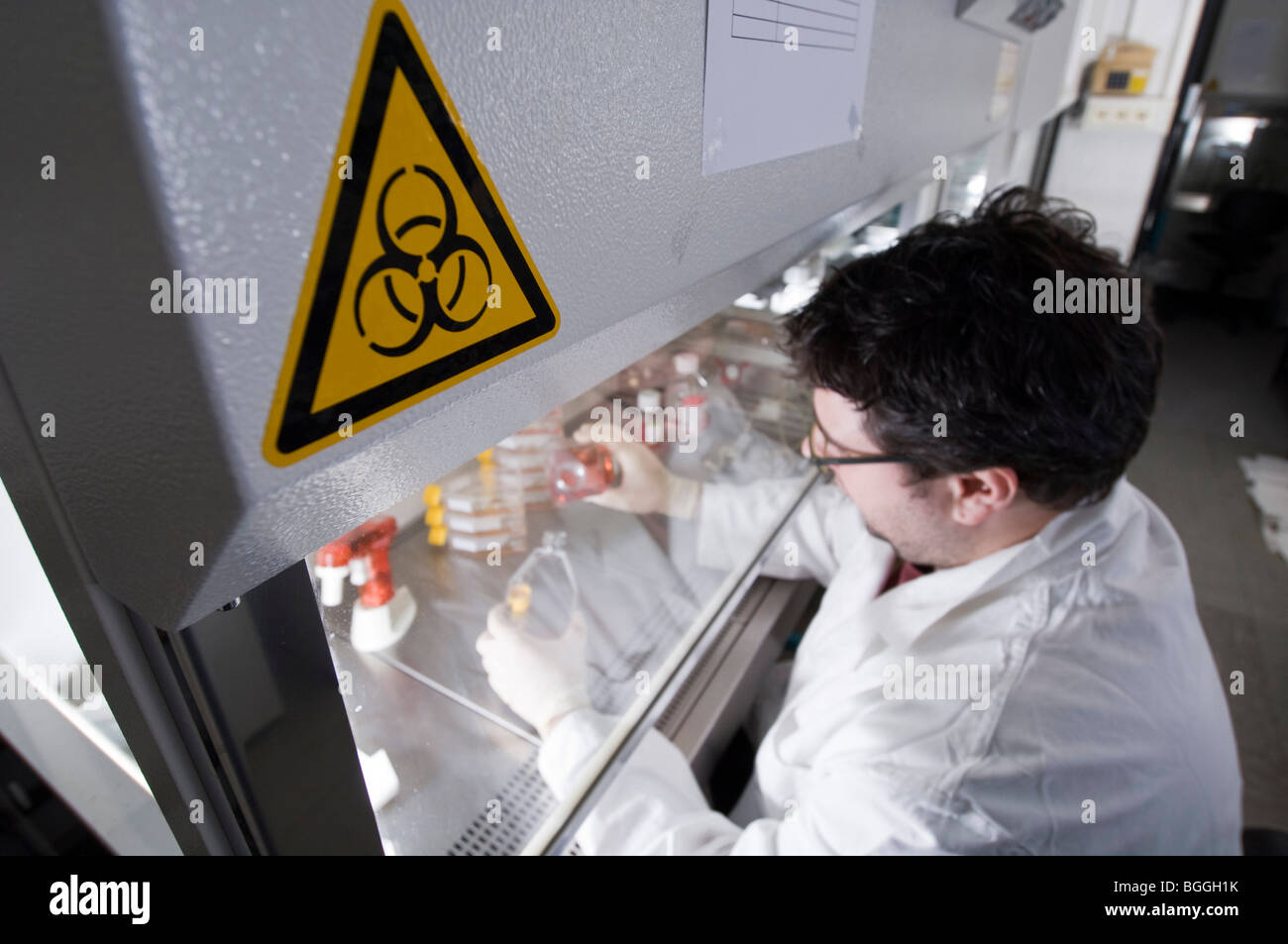 Stem Cell Research Max Planck Institute For Molecular Genetics