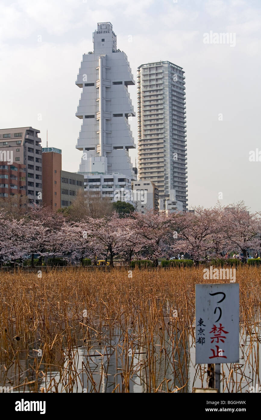 Writing reeds hi-res stock photography and images - Alamy