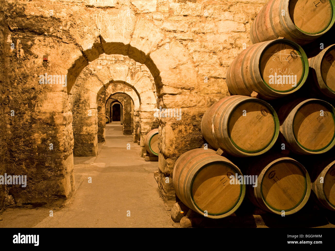 Wine casks in a wine cellar hi-res stock photography and images - Alamy