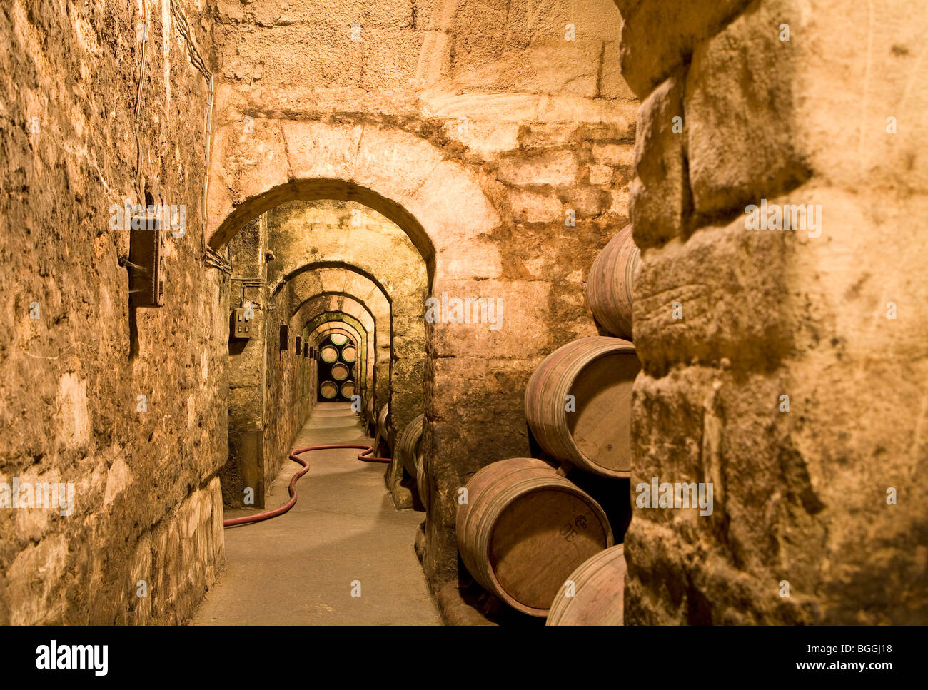 Wine casks in a wine cellar hi-res stock photography and images - Alamy