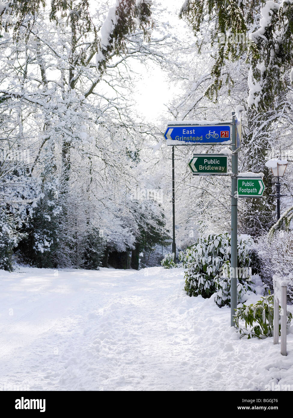 A sign post marking a cycle route, public pathway and bridleway in the ...