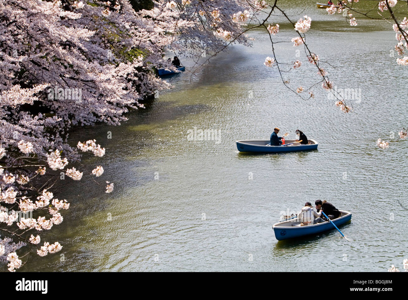 A park in japan hi-res stock photography and images - Alamy