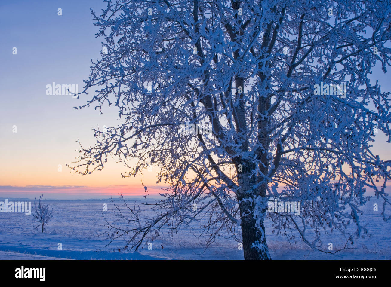Canada winter sunset hi-res stock photography and images - Alamy