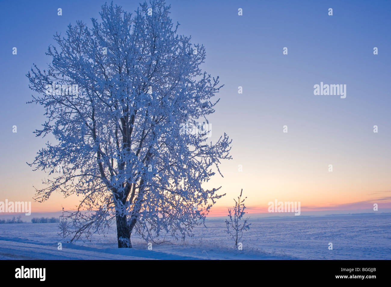 Canada winter sunset hi-res stock photography and images - Alamy