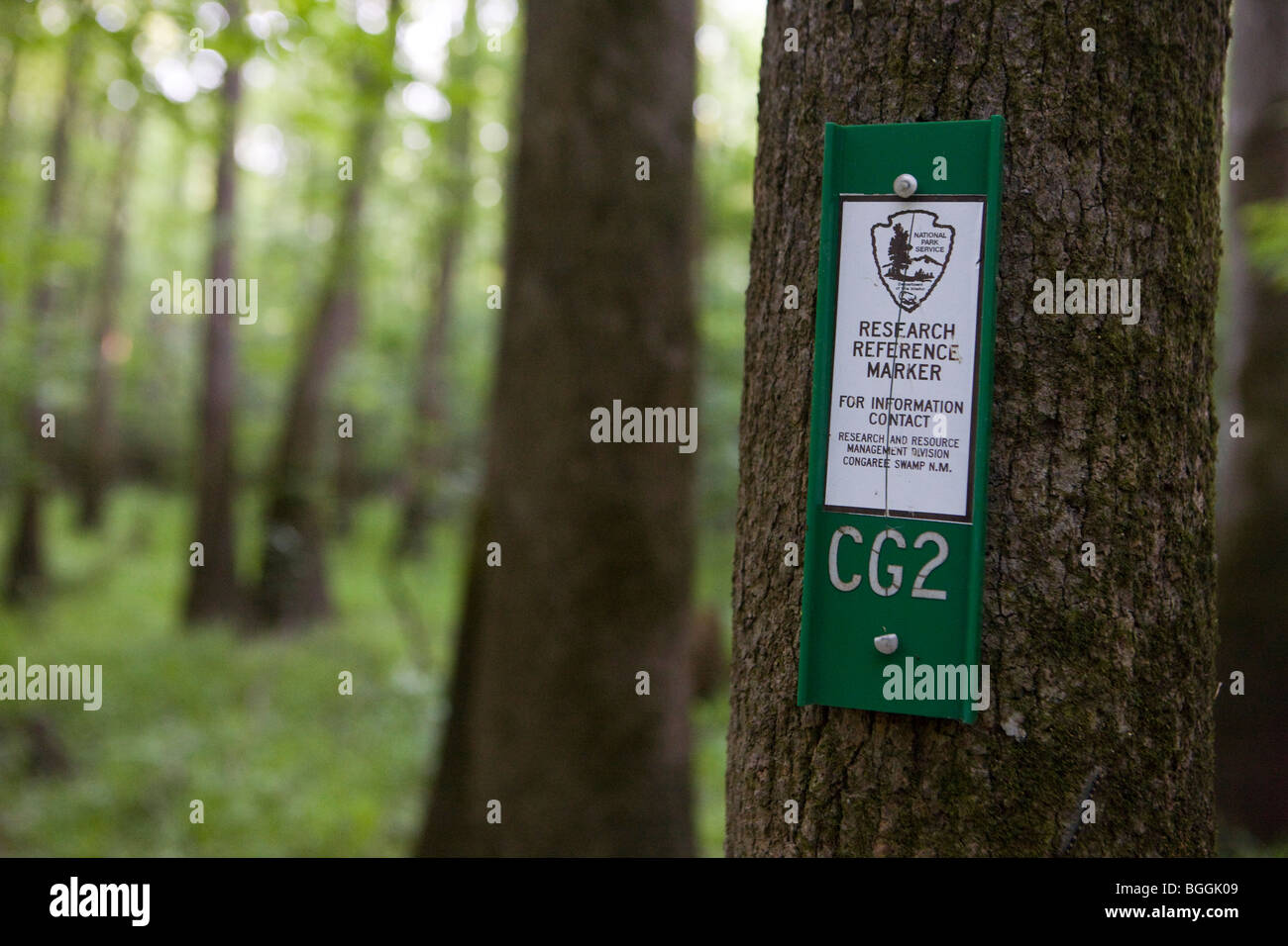 Tree reference hi-res stock photography and images - Alamy