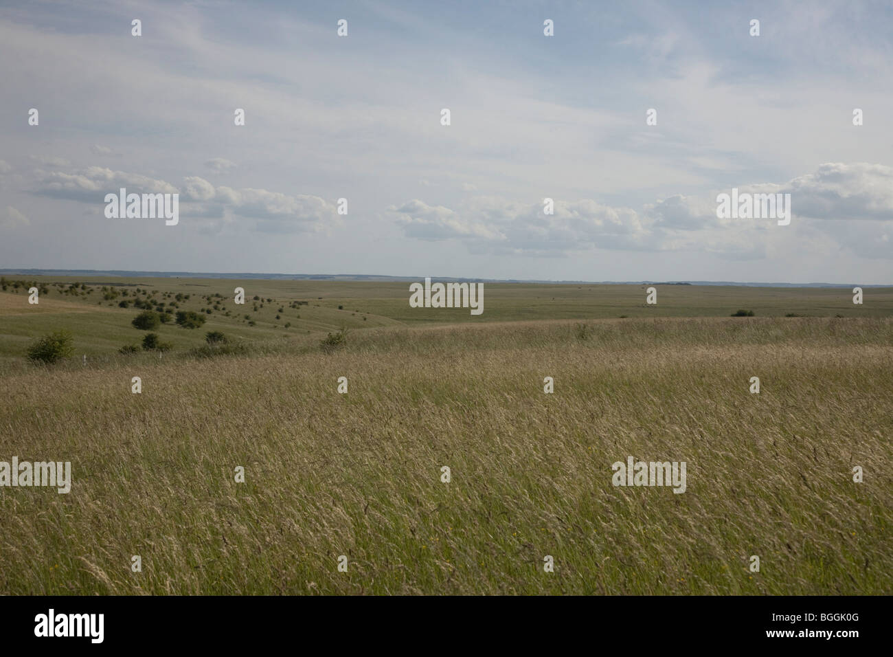 Salisbury plain wiltshire hi-res stock photography and images - Alamy