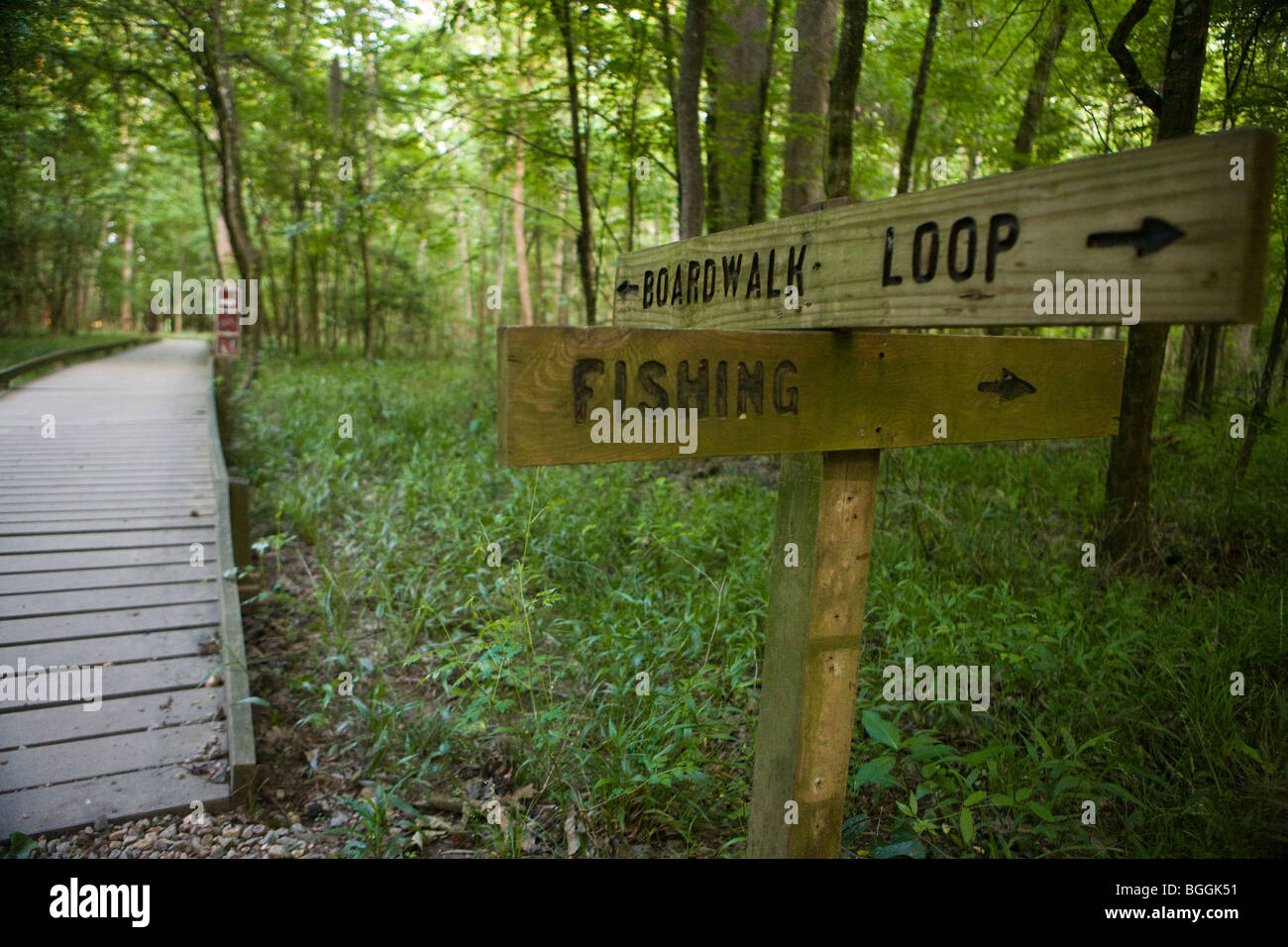 Sign next to boardwalk path pointing to fishing and boardwalk loop ...